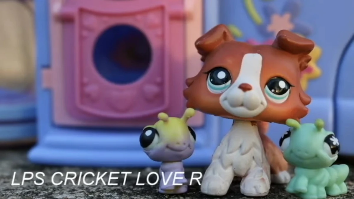 Cricket Lover | LPSTube Wiki | Fandom