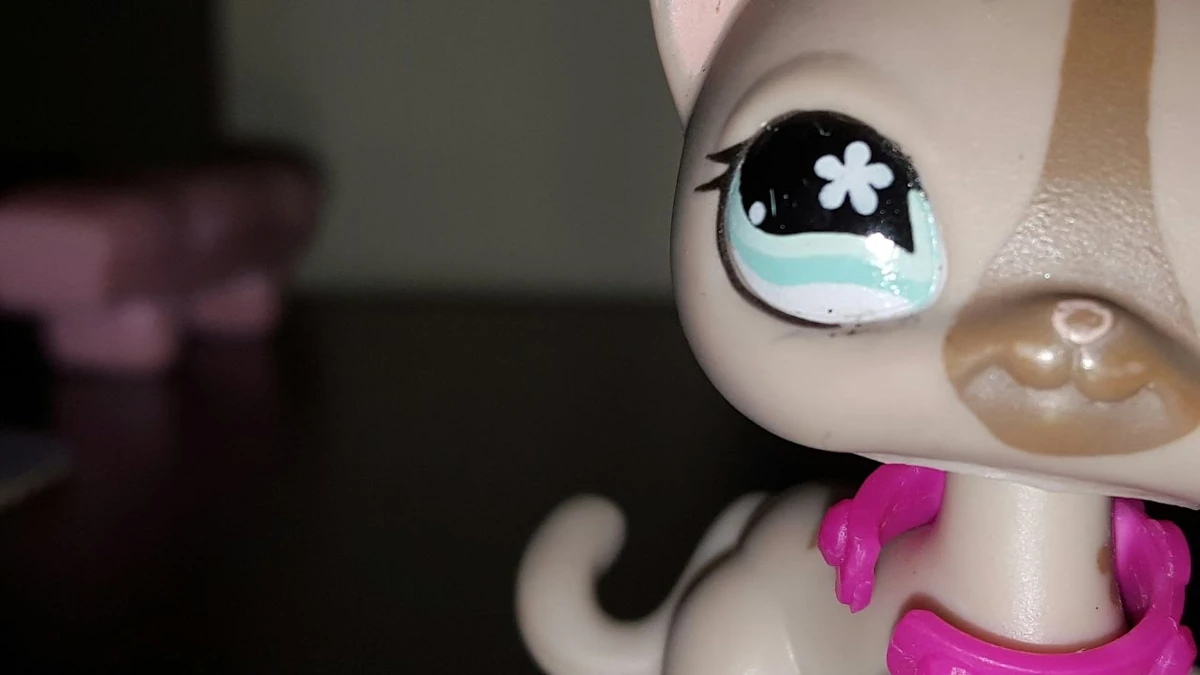 Lydia's LIFE | LPSTube Wiki | Fandom