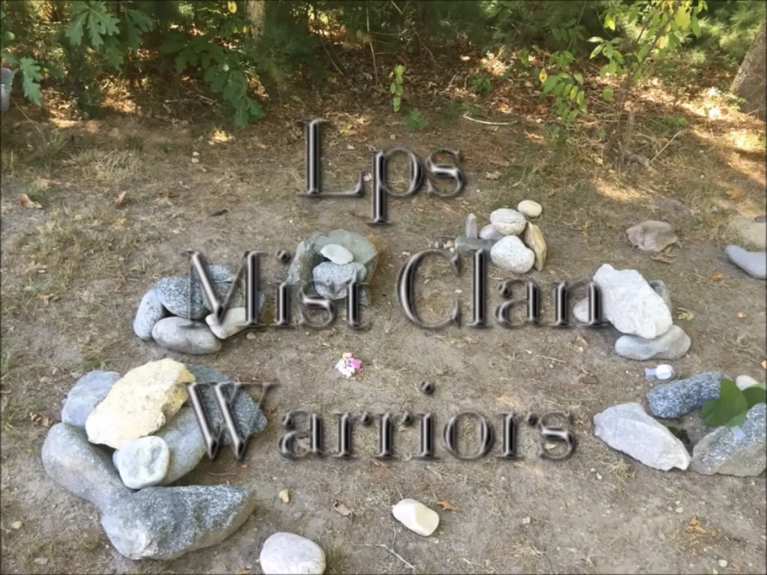 Mist Clan Warriors | LPSTube Wiki | Fandom