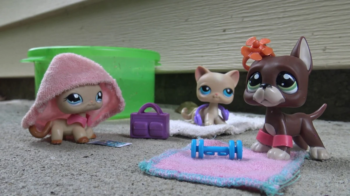 Summer School | LPSTube Wiki | Fandom