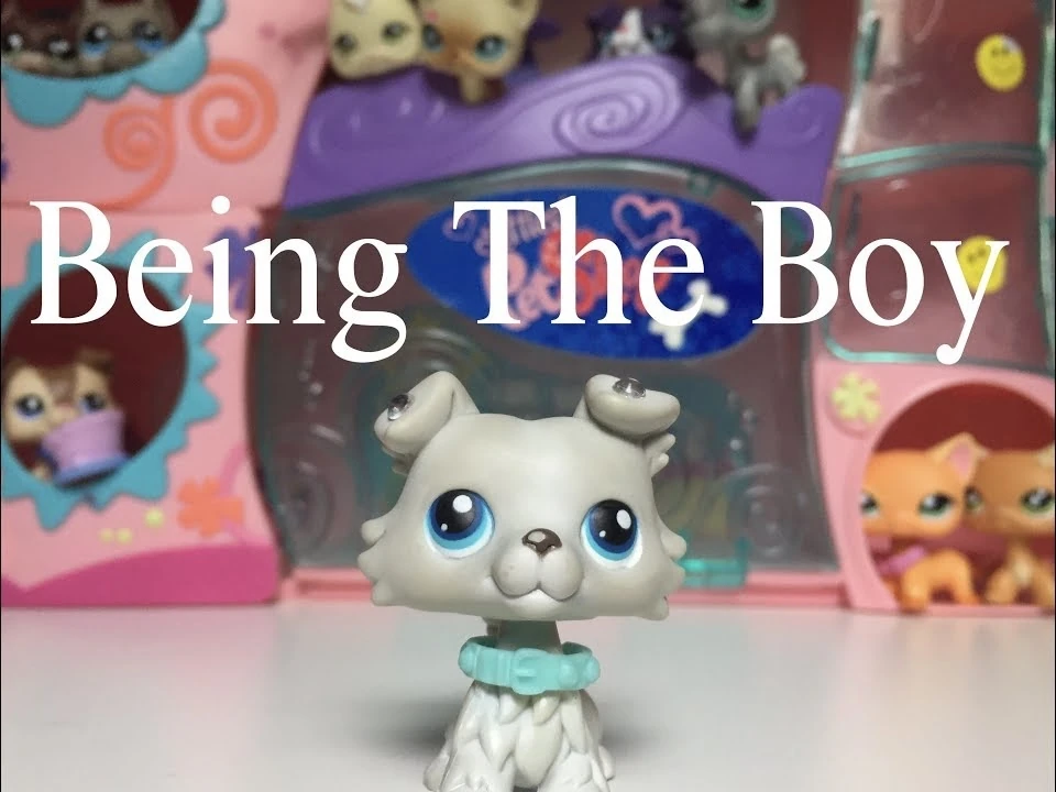 Being The Boy (In an LPS Series) | LPSTube Wiki | Fandom