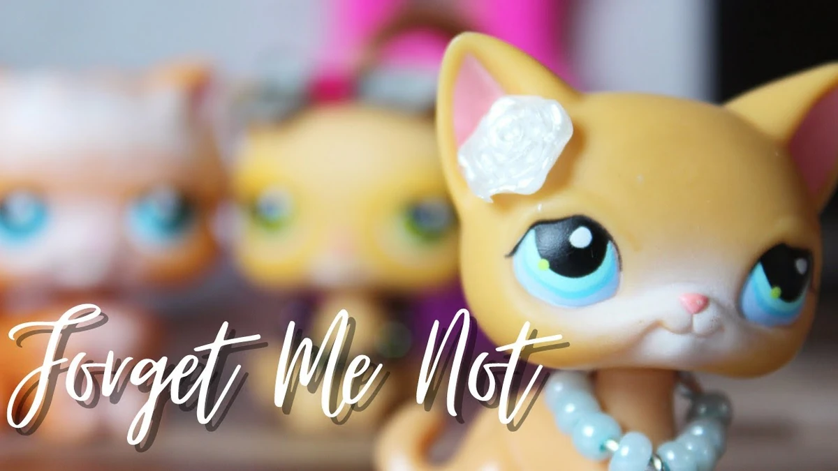 Forget Me Not | LPSTube Wiki | Fandom