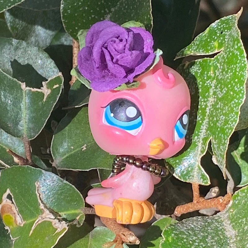 Parakeet Studios | LPSTube Wiki | Fandom