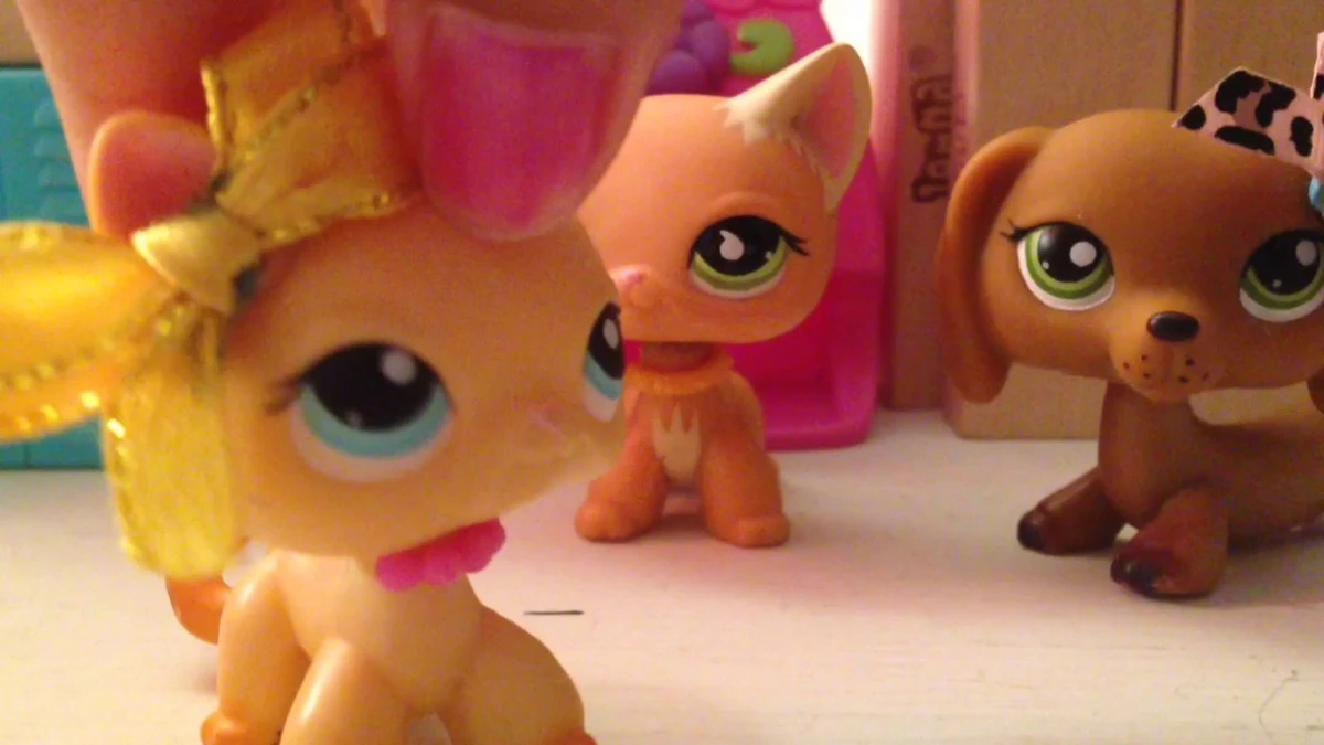 StarLight | LPSTube Wiki | Fandom