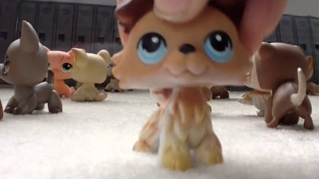 Werewolf Academy | LPSTube Wiki | Fandom