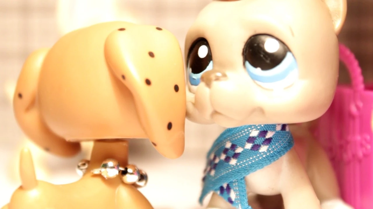 Distance | LPSTube Wiki | Fandom