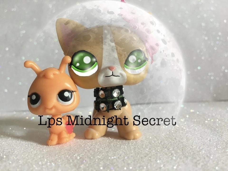 Midnight Secrets | LPSTube Wiki | Fandom