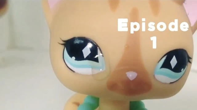 Its Complicated | LPSTube Wiki | Fandom