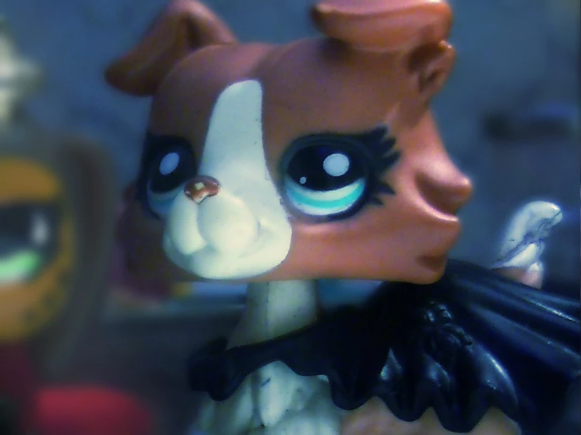 Elya | LPSTube Wiki | Fandom