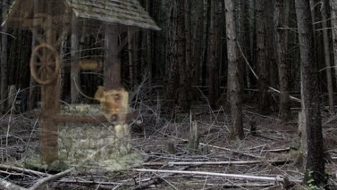 They All Fall Down | LPSTube Wiki | Fandom