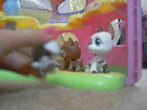 Pop Princess | LPSTube Wiki | Fandom