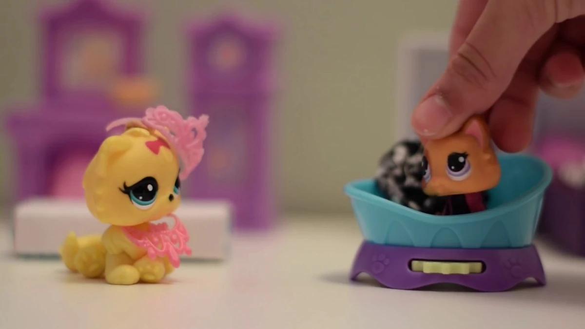 Plain Out Rejection | LPSTube Wiki | Fandom