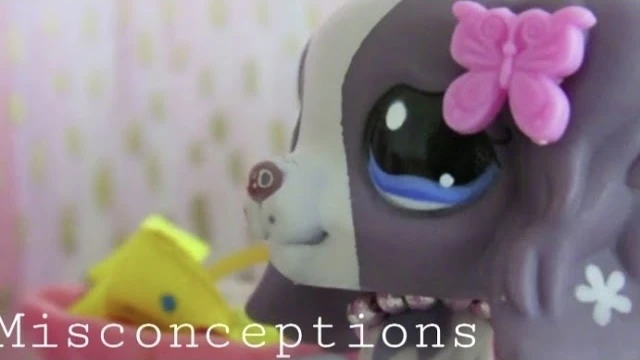 Misconceptions | LPSTube Wiki | Fandom