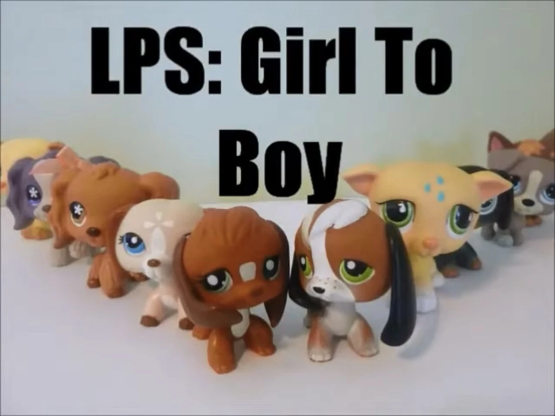 Girl to Boy | LPSTube Wiki | Fandom