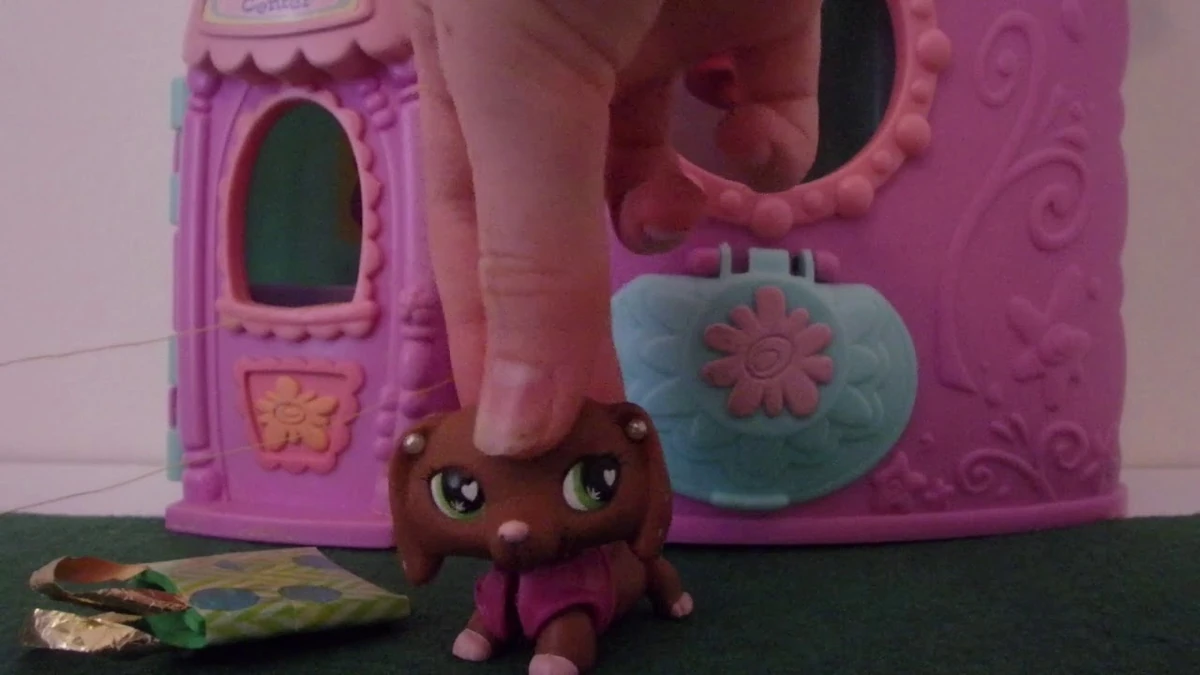 Paw Power | LPSTube Wiki | Fandom