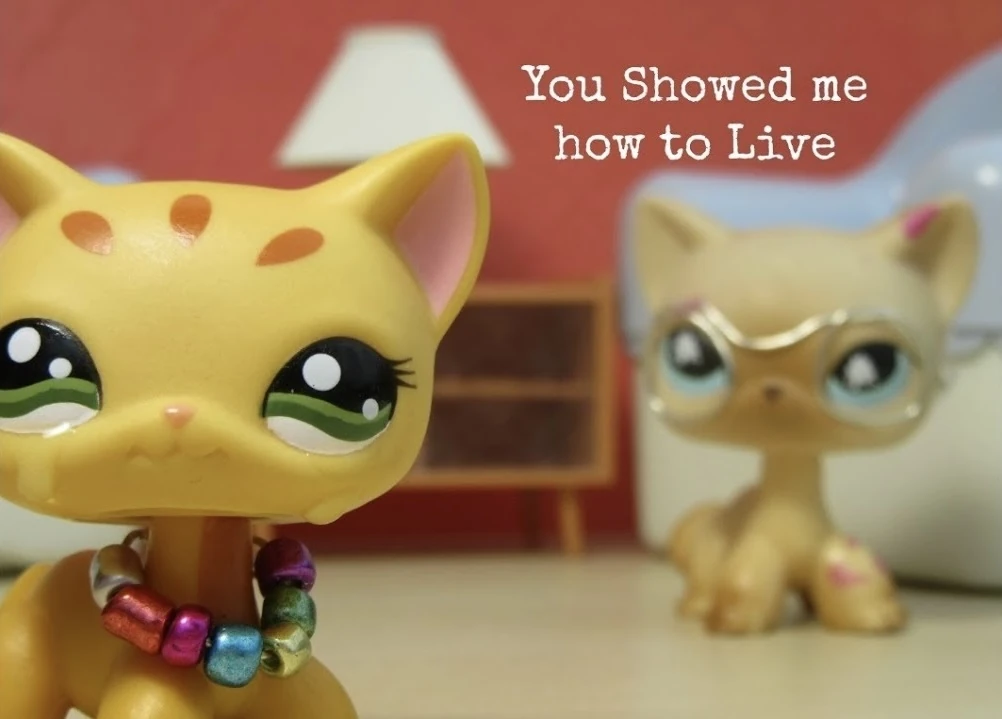 You Showed Me How To Live | LPSTube Wiki | Fandom