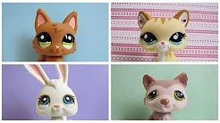 Four Stories | LPSTube Wiki | Fandom