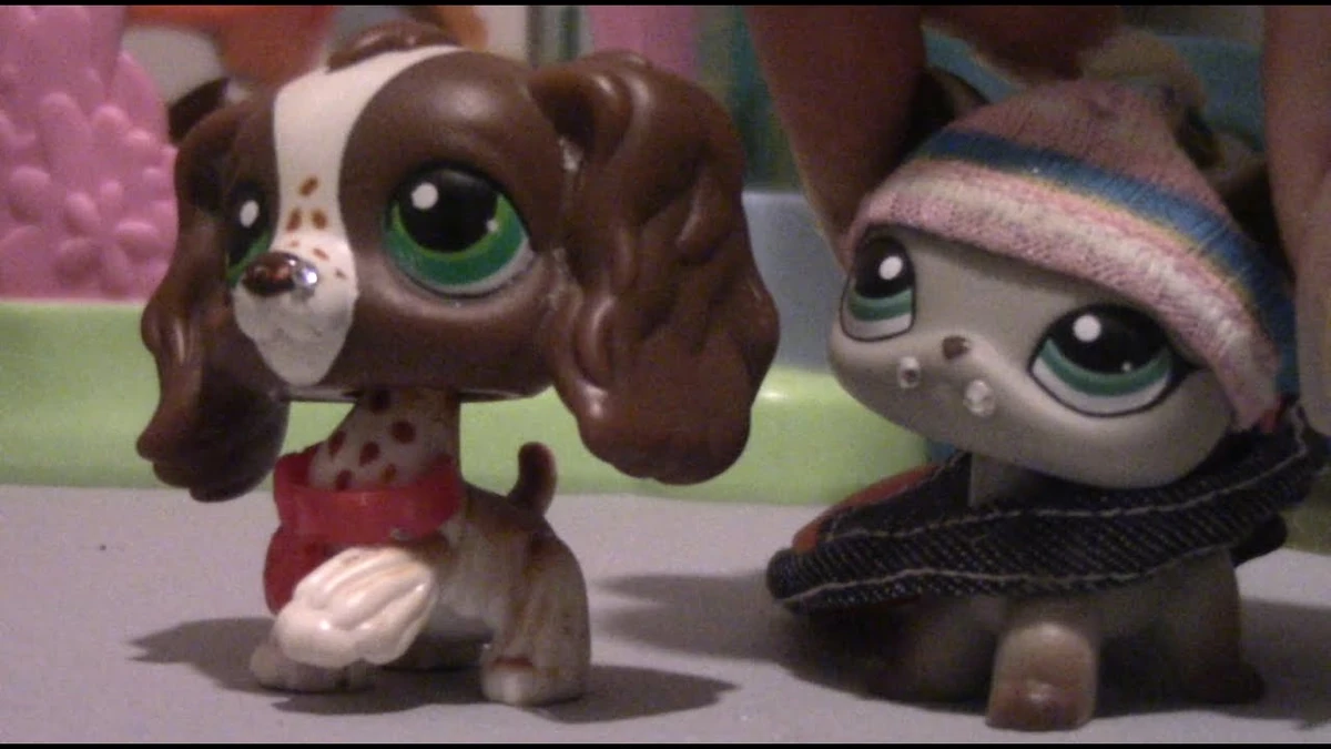 Acquainted | LPSTube Wiki | Fandom