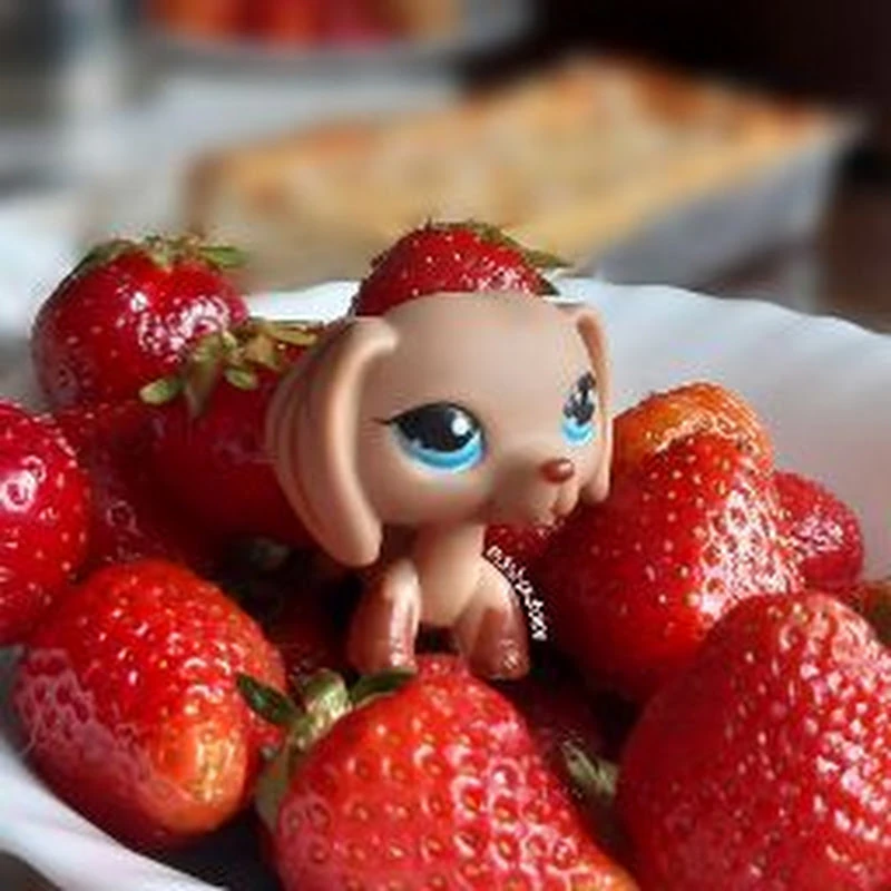 centia lps | LPSTube Wiki | Fandom