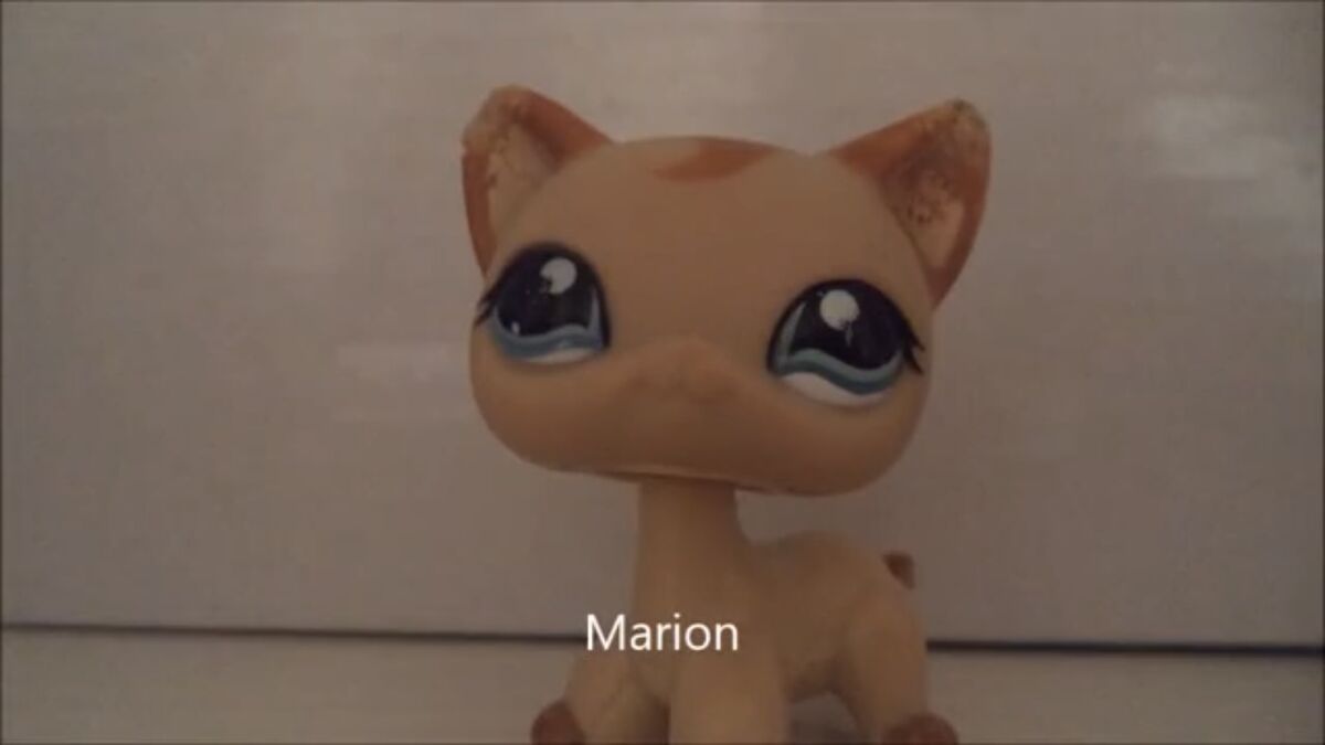 Disparu Lpstube Wiki Fandom