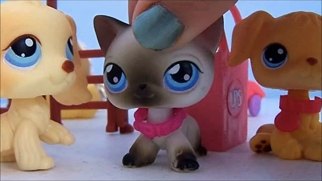 Princess Protection Program | LPSTube Wiki | Fandom