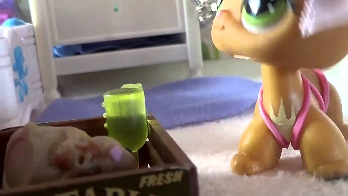 Pawthorn Finishing School | LPSTube Wiki | Fandom