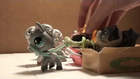 The Evil Princess | LPSTube Wiki | Fandom