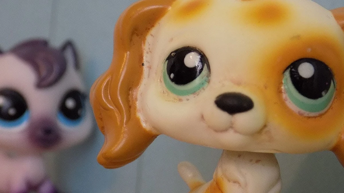 I Like Girls Too | LPSTube Wiki | Fandom