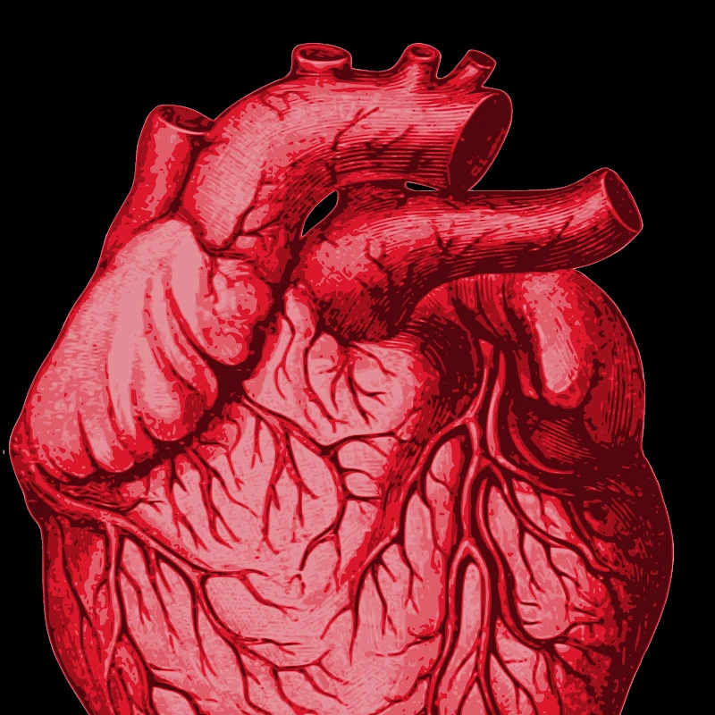 Supernova | LPSTube Wiki | Fandom