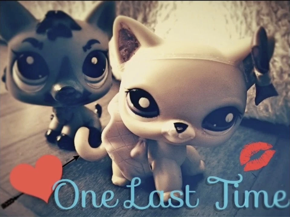 One Last Time (Lps Creativo) | LPSTube Wiki | Fandom