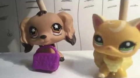 I'll Always Find You | LPSTube Wiki | Fandom