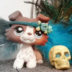 Angel Express | LPSTube Wiki | Fandom