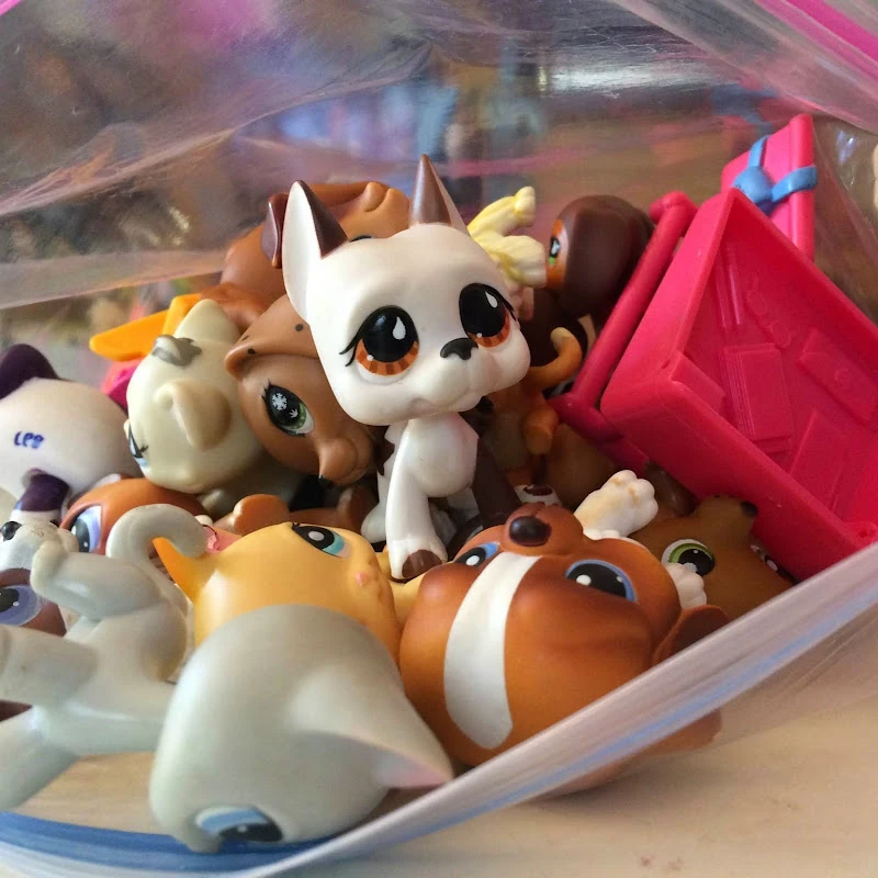 JennaLPS TV | LPSTube Wiki | Fandom