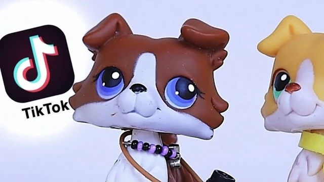 TikTok (Maya Carlin) | LPSTube Wiki | Fandom