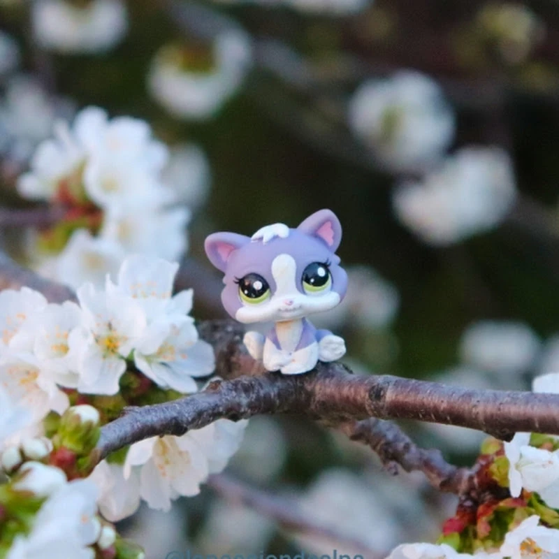 La passion des LPS | LPSTube Wiki | Fandom