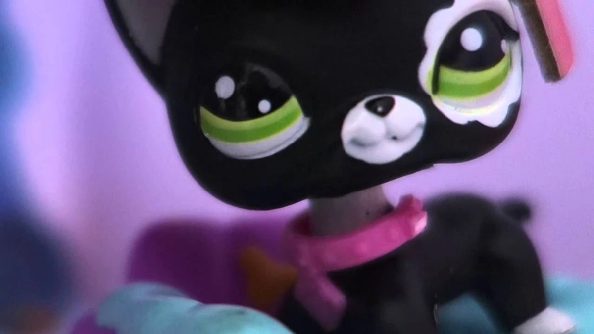 The Real You | LPSTube Wiki | Fandom