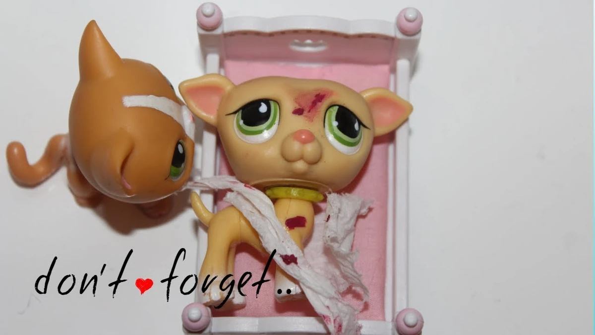 Don't forget.. | LPSTube Wiki | Fandom