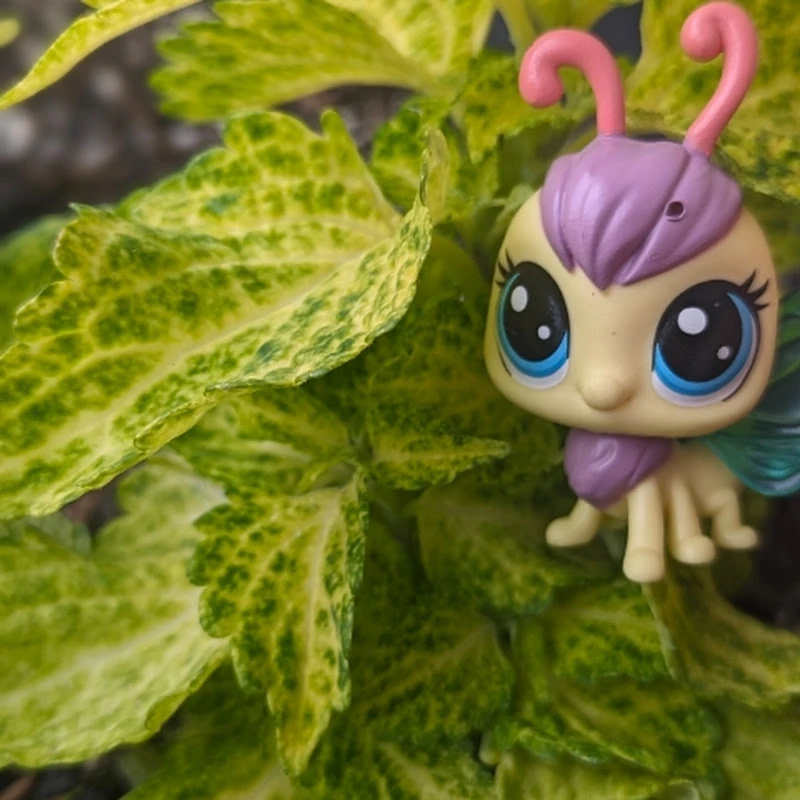 Eco | LPSTube Wiki | Fandom