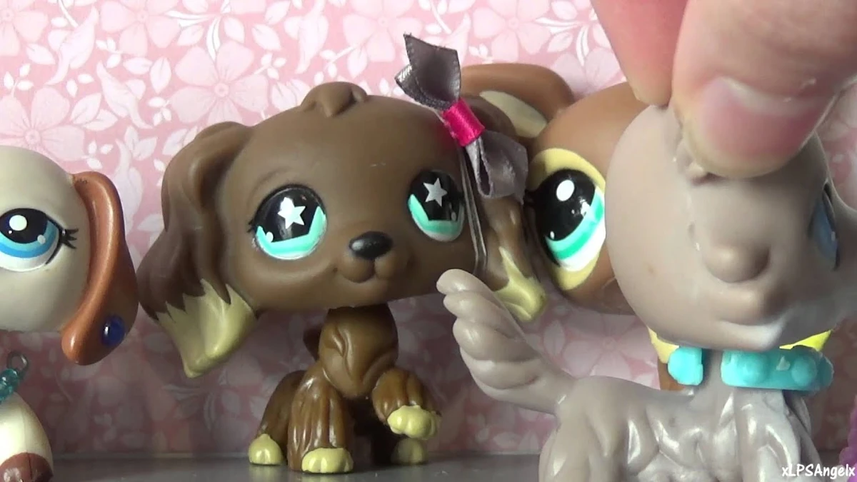 The Selection (xLPSAngel) | LPSTube Wiki | Fandom