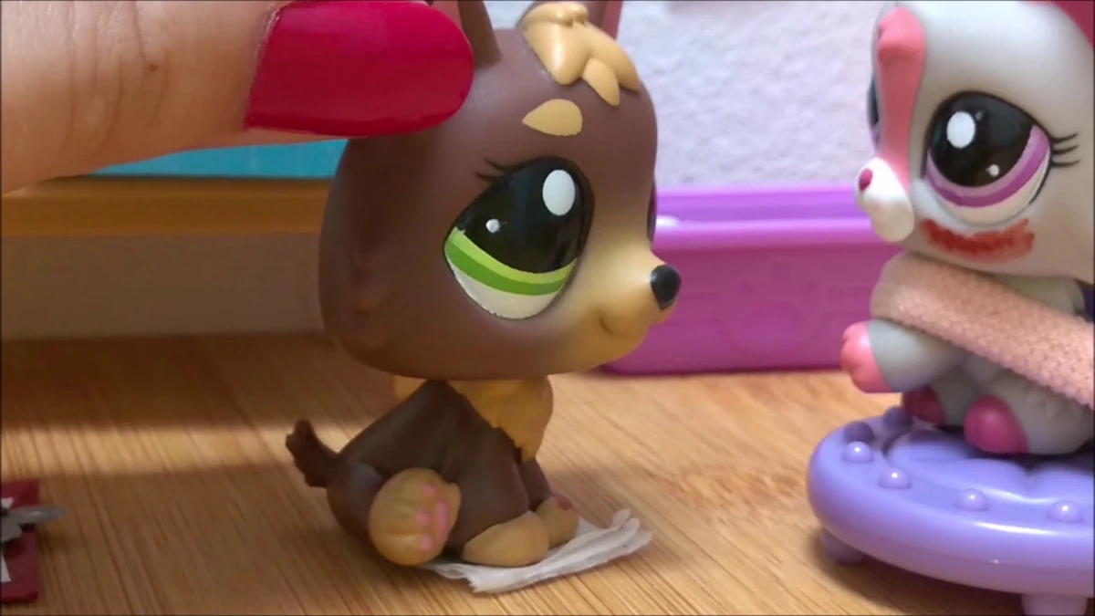 Cats and Dogs | LPSTube Wiki | Fandom