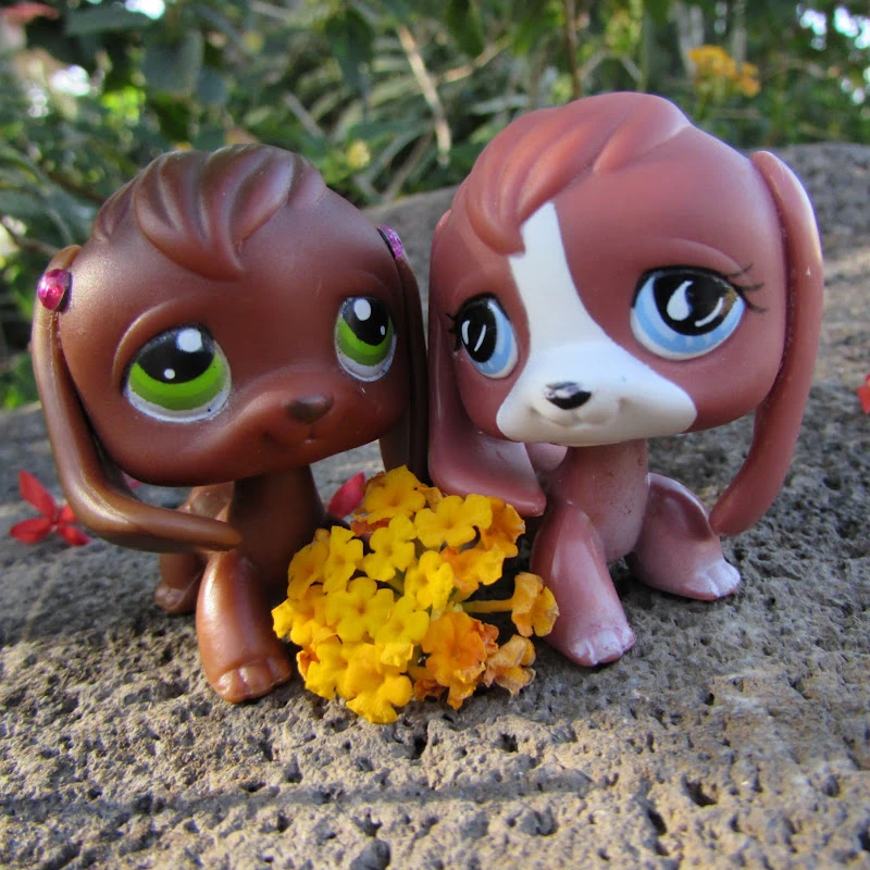 LpsSisters101 | LPSTube Wiki | Fandom