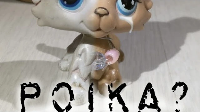 Poika? | LPSTube Wiki | Fandom