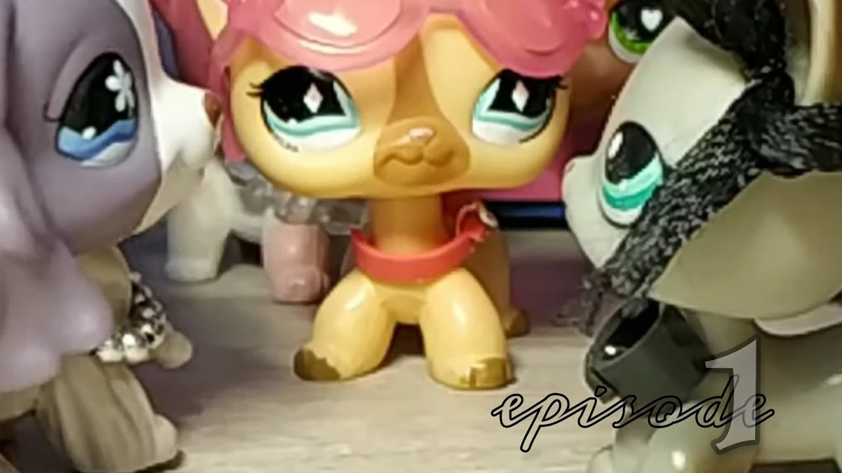 Team 134 | LPSTube Wiki | Fandom