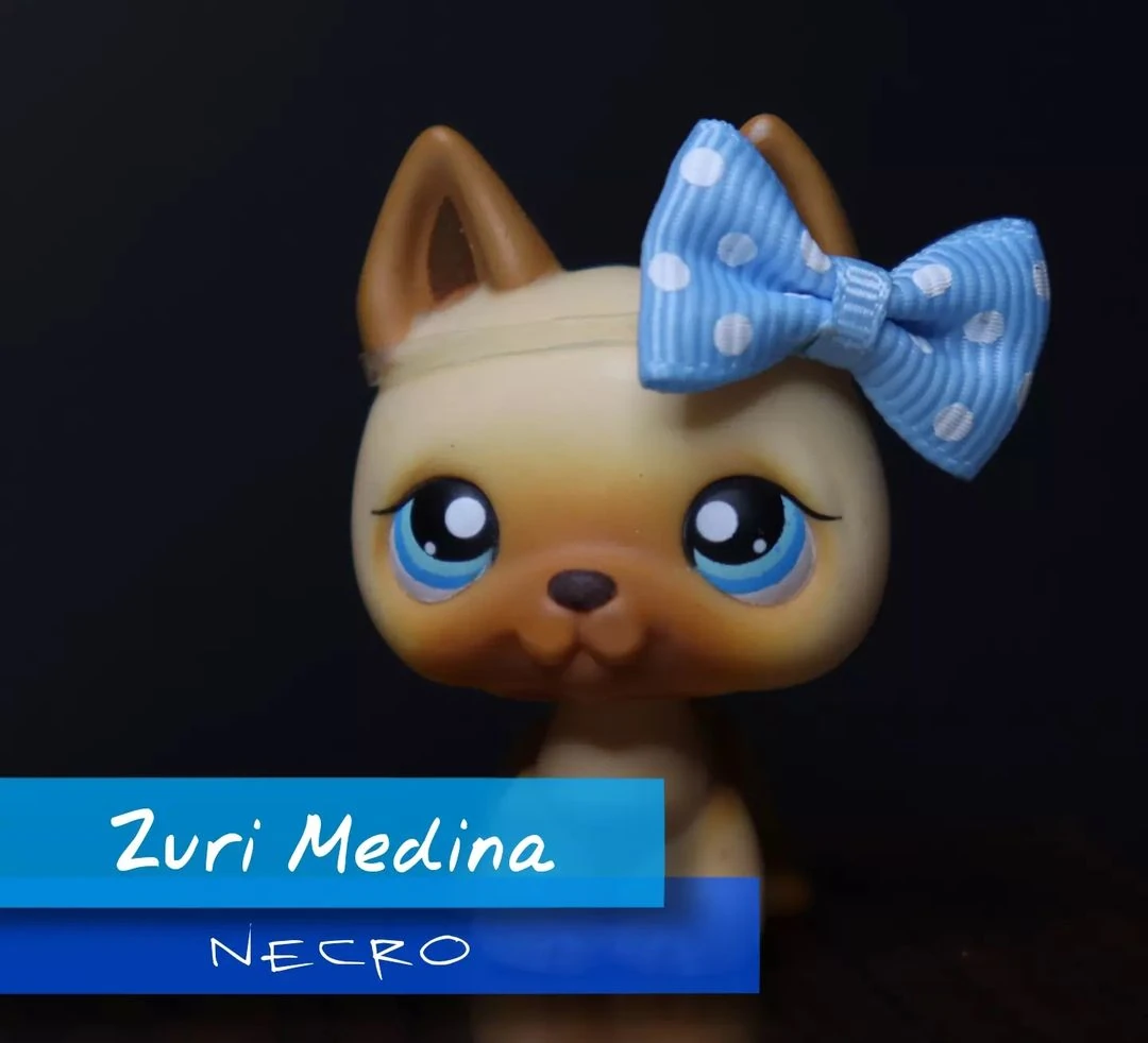 Zuri Medina | LPSTube Wiki | Fandom