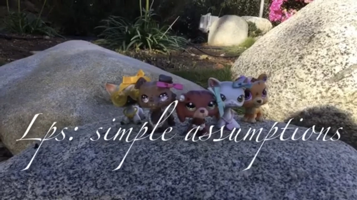 Simple Assumptions | LPSTube Wiki | Fandom