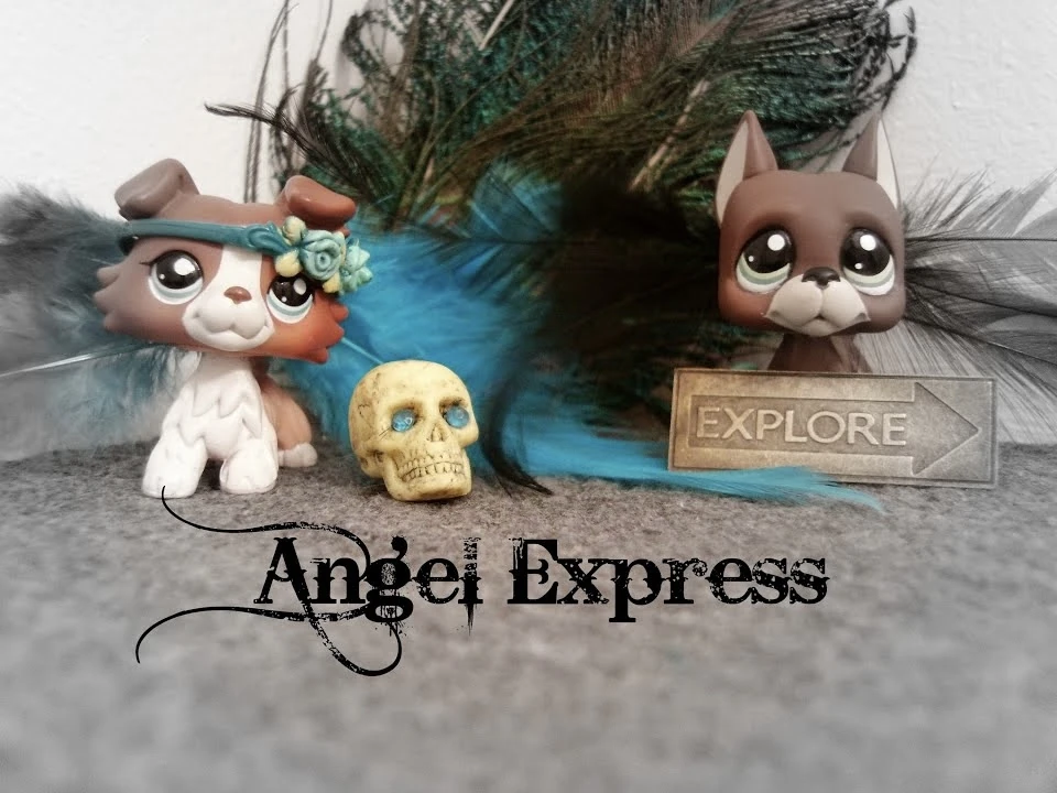 Angel Express | LPSTube Wiki | Fandom