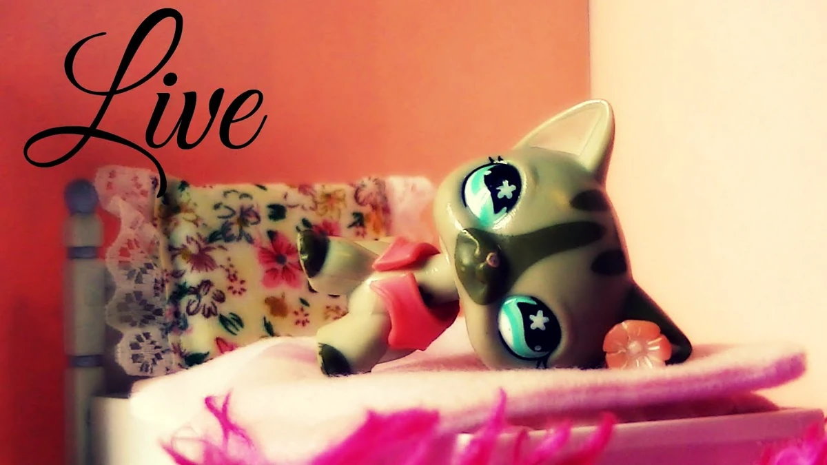 Live | LPSTube Wiki | Fandom