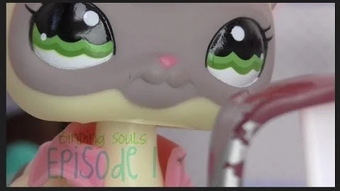 Binding Souls | LPSTube Wiki | Fandom