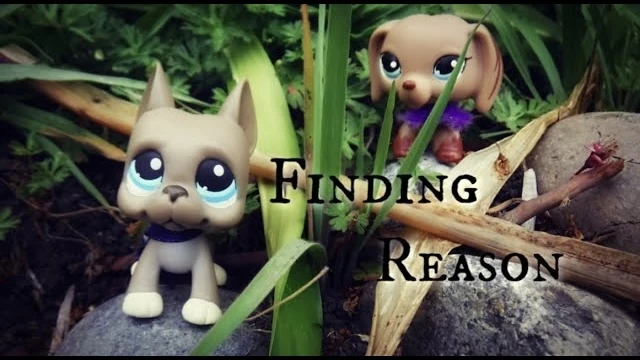Finding Reason | LPSTube Wiki | Fandom
