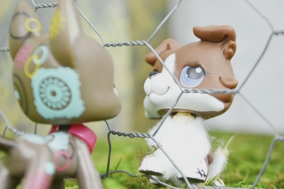 27 | LPSTube Wiki | Fandom